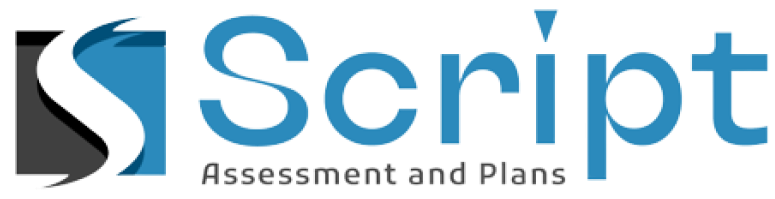 Script Assesment and Plans
